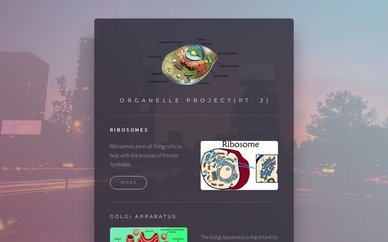 Organelle Project (Second Half)